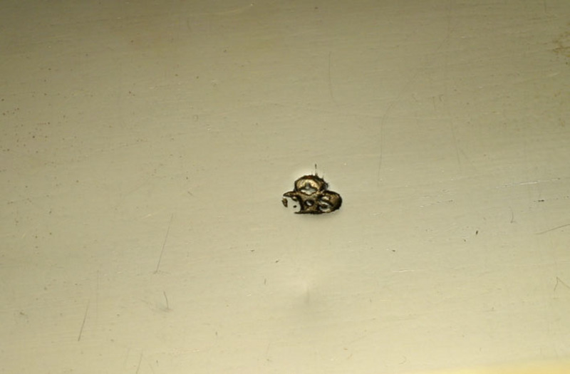 Leopard Antiques Irish Silver Freedom Box - Londonderry